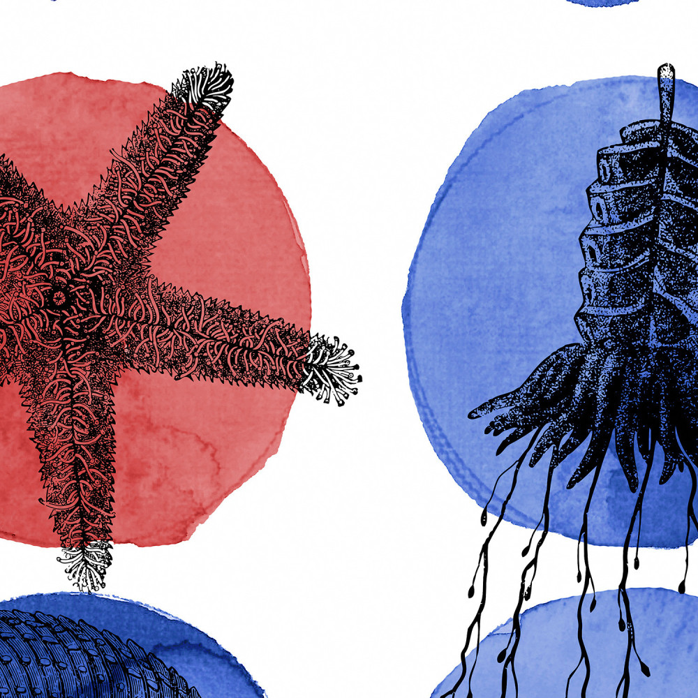 Papier peint panoramique Sea Star XL par Lé Papiers de Ninon - Décor marin